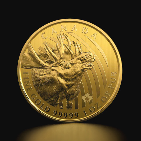 1 oz Canadisk Moose 2019 Guldmønt | Tavex